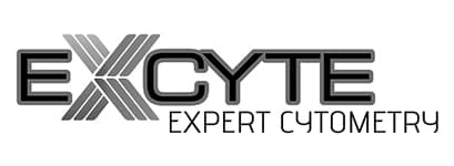 Technical SEO Audits - Narrative SEO Consultancy